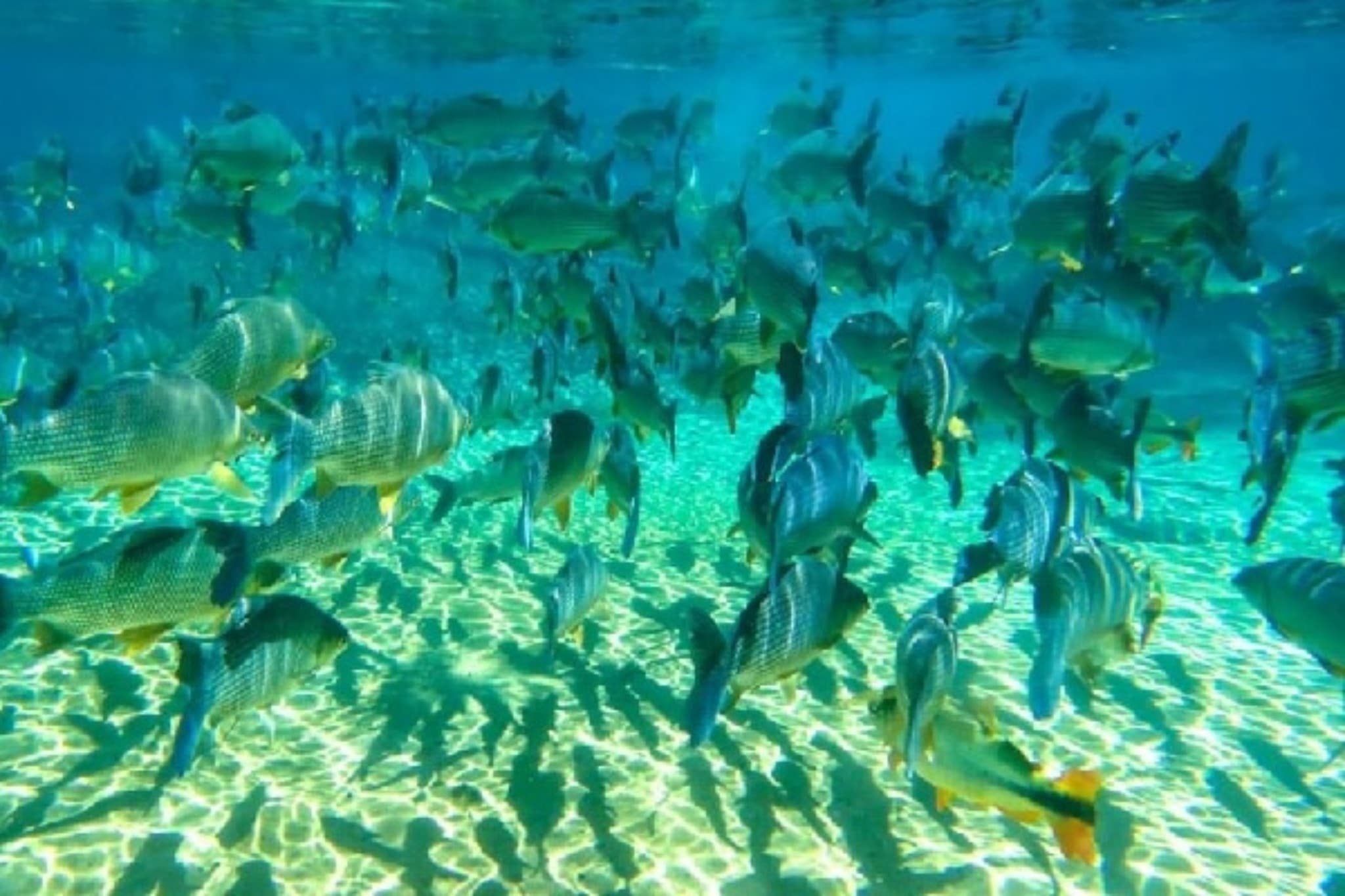 Bacia hidrográfica do Rio da Prata corre sérios riscos com erosão ...