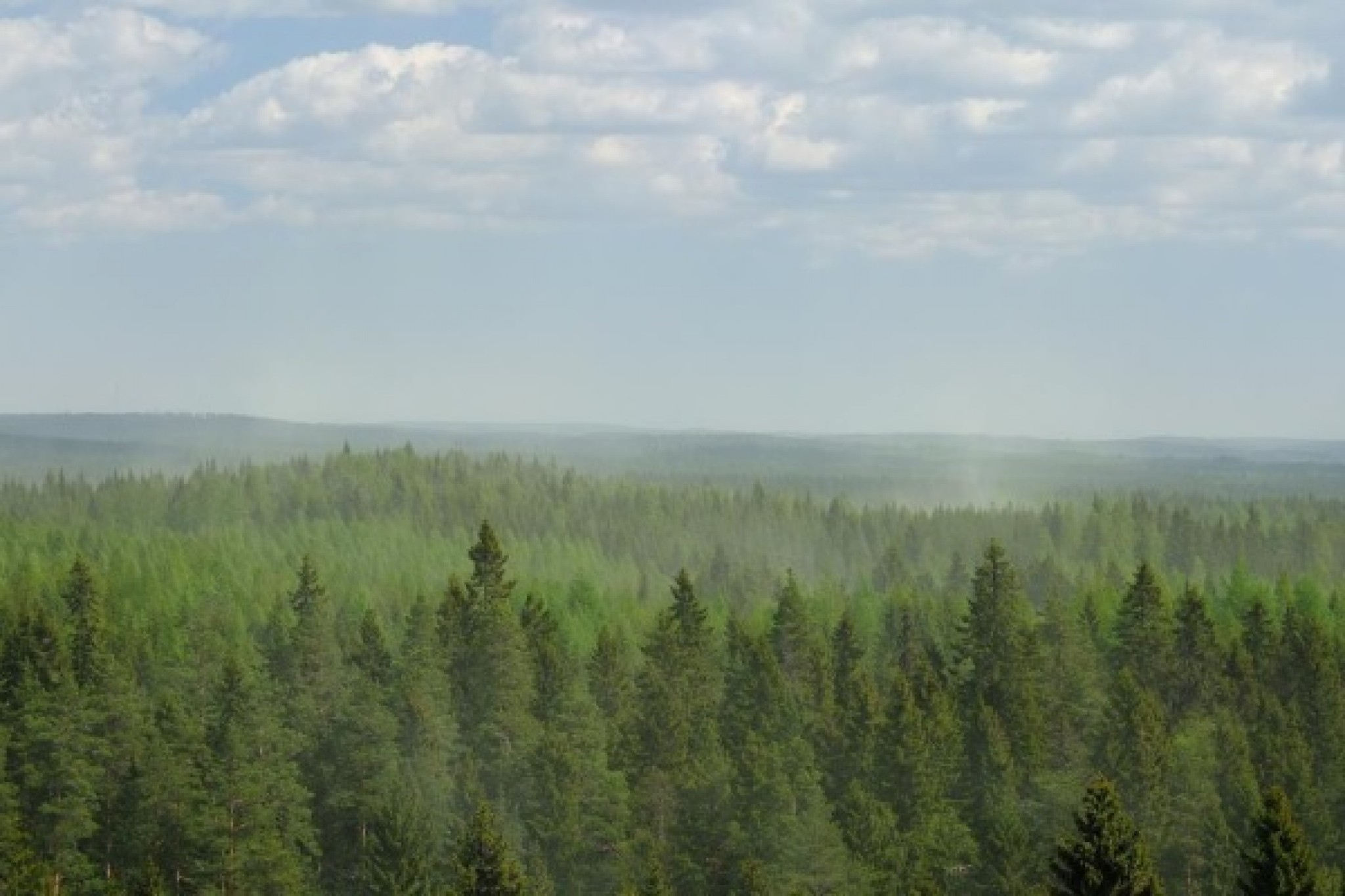 Observações confirmam que aerossóis formados a partir de compostos ...